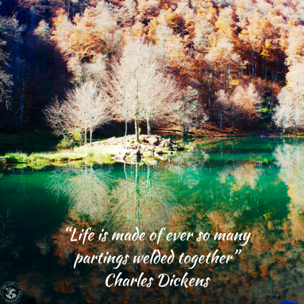 39 Travel Quotes to Inspire you to go on an Adventure - The Lite Backpacker