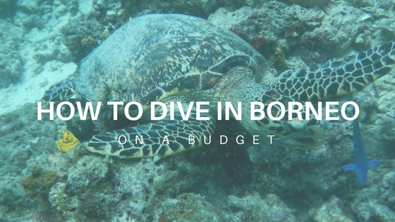 How to Dive in Borneo on a Budget - The Lite Backpacker
