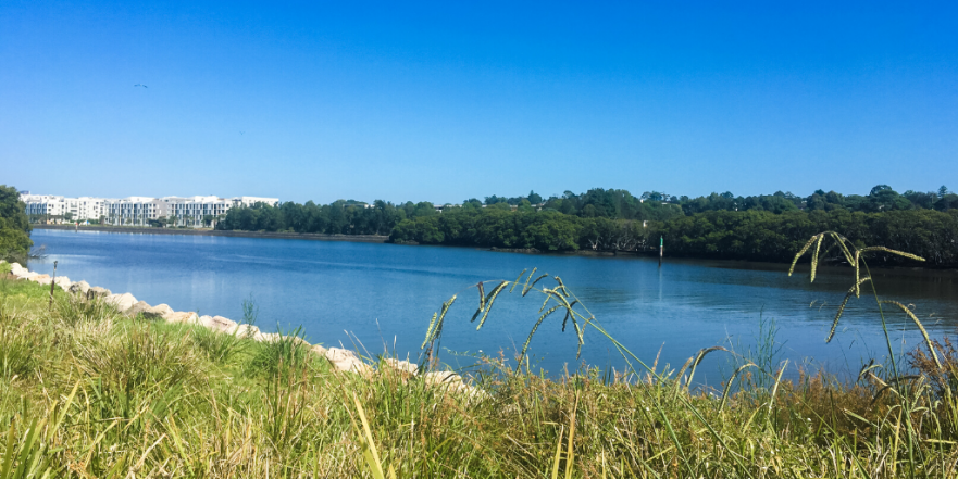 The Parramatta River Walk - Off the Beaten Track in Sydney - The Lite ...