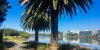 The Parramatta River Walk - Off the Beaten Track in Sydney - The Lite ...